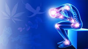 Pain Assignment Research Paper Available | My Best Writer