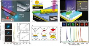 Surface Plasmon Lasers on Nanophotonics | My Best Writer